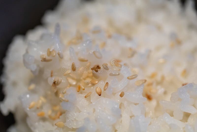 Japanese rice with sesame stock image. Image of nature - 119892885