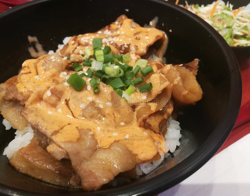 Japanese Rice Sliced Pork and Spring Onion Stock Image - Image of pork ...