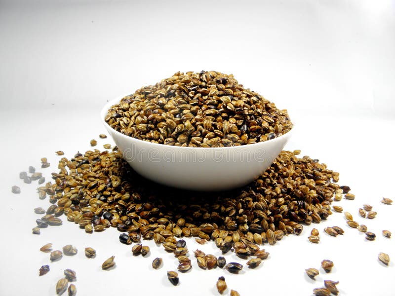 Japanese Roasted Barley Tea Husk Isolated Stock Image - Image of fruit ...