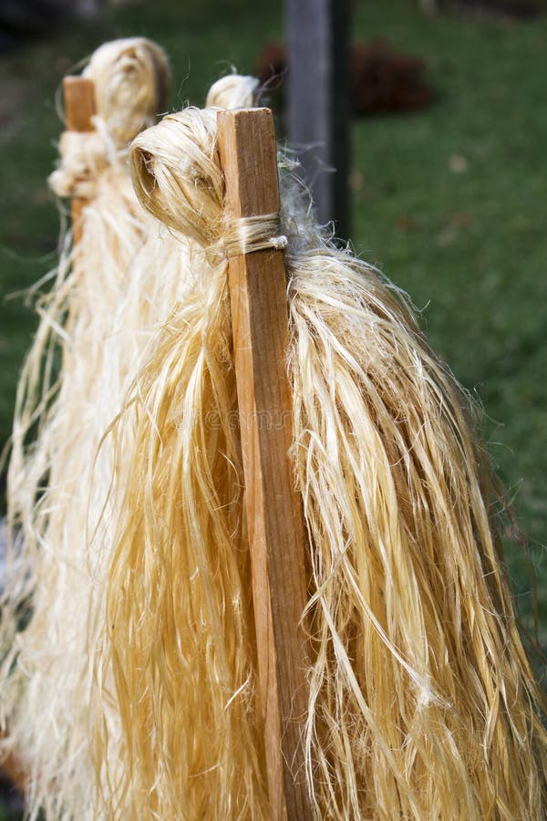 Japanese Big Rope in New Year Day Named `Shime-Nawa` Stock Photo ...