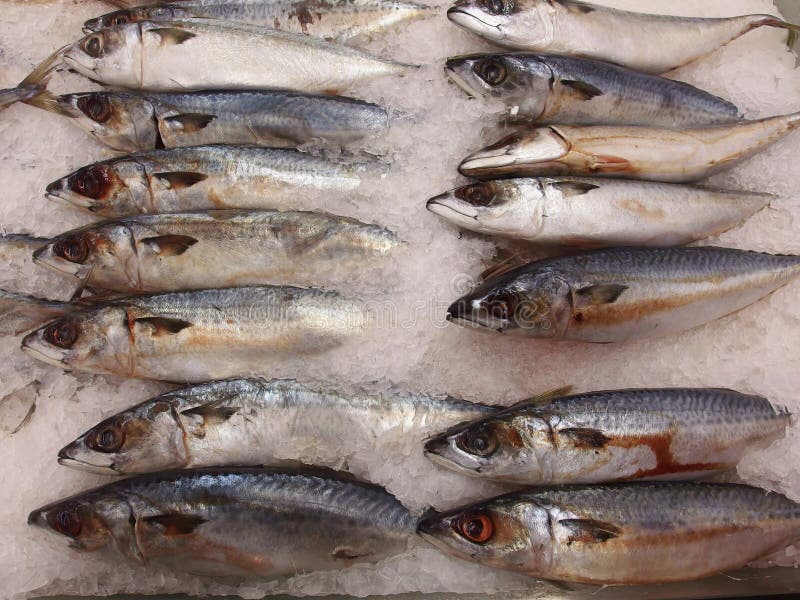 Saba stock image. Image of white, material, gourmet - 100592567