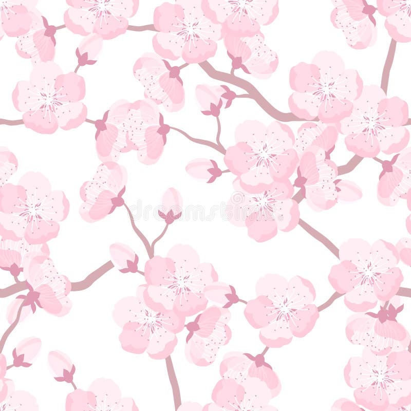 Sakura seamless pattern stock vector. Illustration of leaves - 29203479
