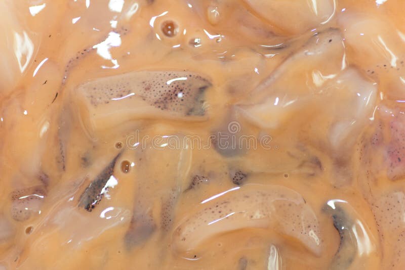 Fish guts stock image. Image of bass, fillet, health - 12316343