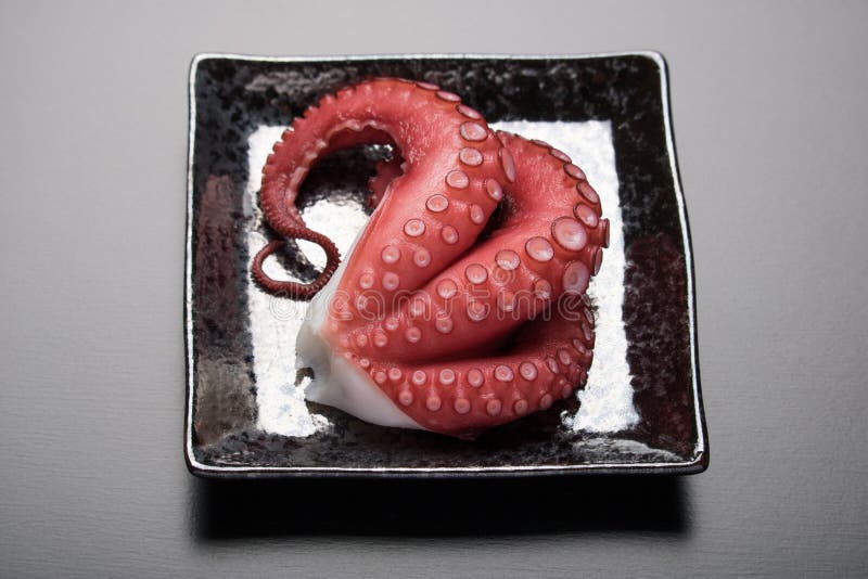 Japanese Sashimi - Tako Octopus Stock Image - Image of japanese, asian ...
