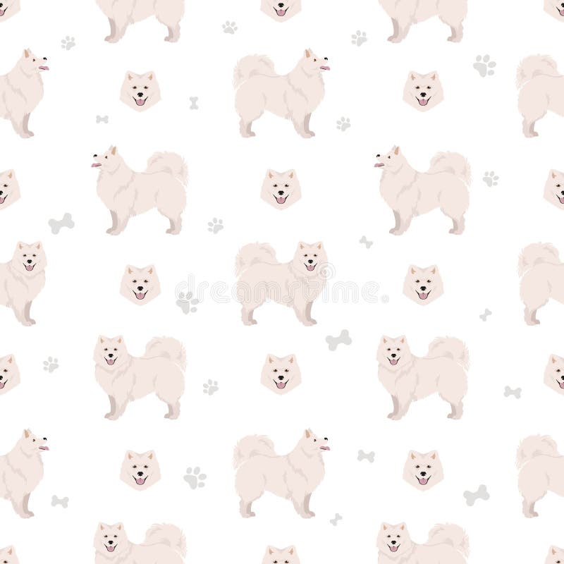 Spitz Dog Seamless Pattern on Orange Background. Vector Flat Illustration for Packaging ...
