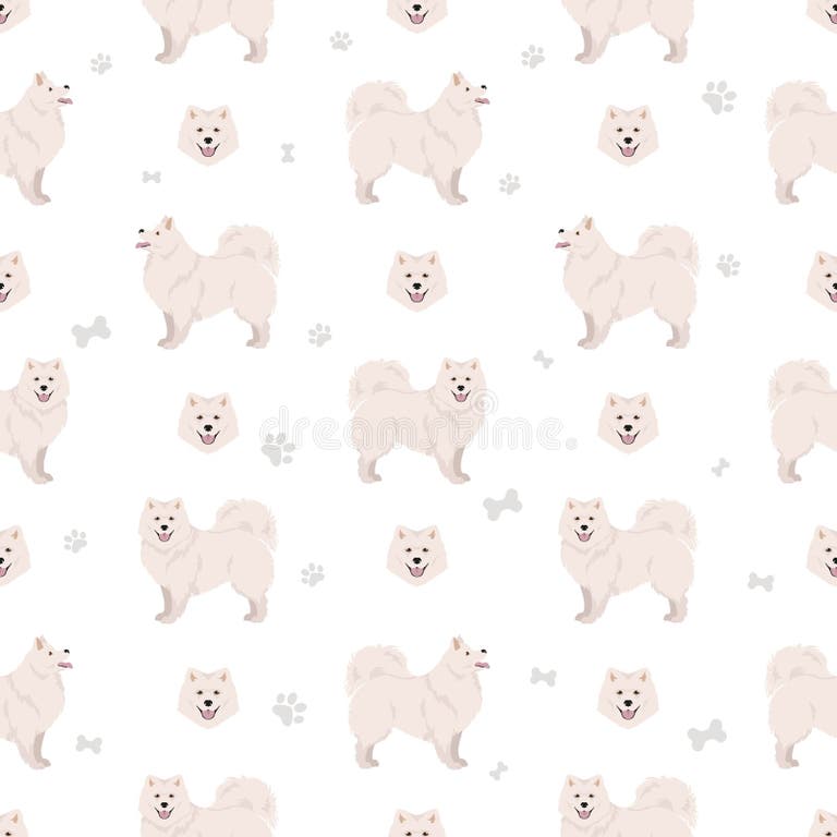 Japanese Spitz Stock Illustrations – 586 Japanese Spitz Stock ...
