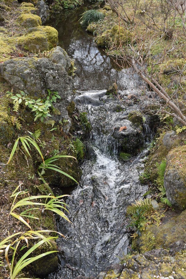 Japanese Spring Stream stock photo. Image of flower, flowers - 89137574