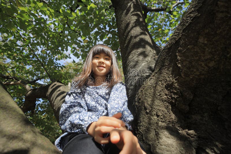 Japanese Student Girl Climbing the Tree Stock Image - Image of japanese ...