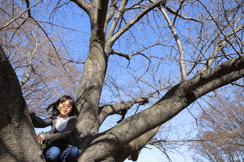 Japanese Student Girl Climbing the Tree Stock Photo - Image of second ...