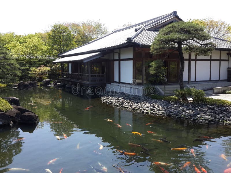 Japanese Style Garden stock photo. Image of carp, river - 56515536