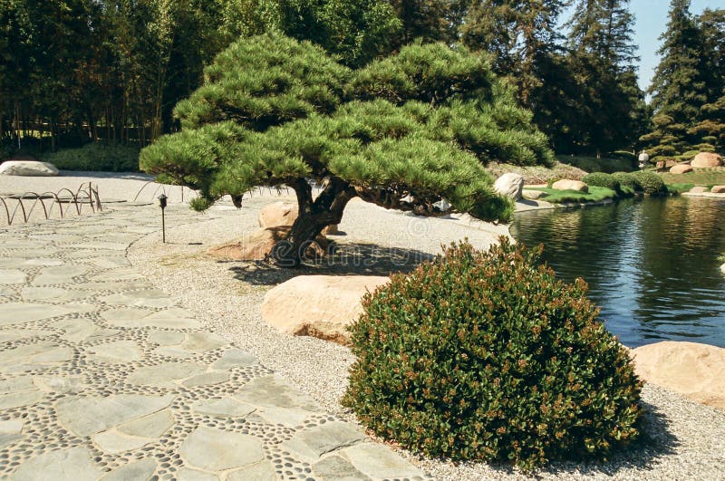 Japanese Style Garden Path stock photo. Image of nature - 78228948