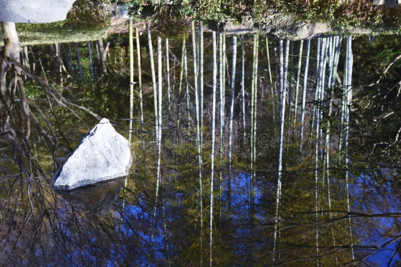 Pond water surface stock image. Image of outdoor, japan - 138323359