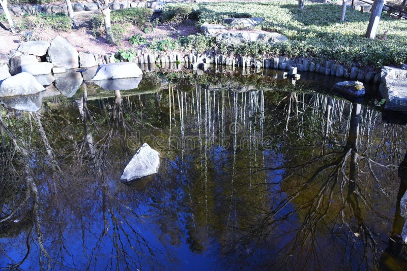 Pond water surface stock image. Image of outdoor, japan - 138323359