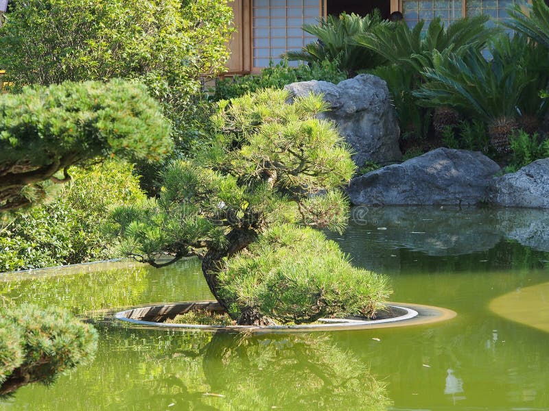 Design and Architectural Solutions in the Organization of Park Space ...