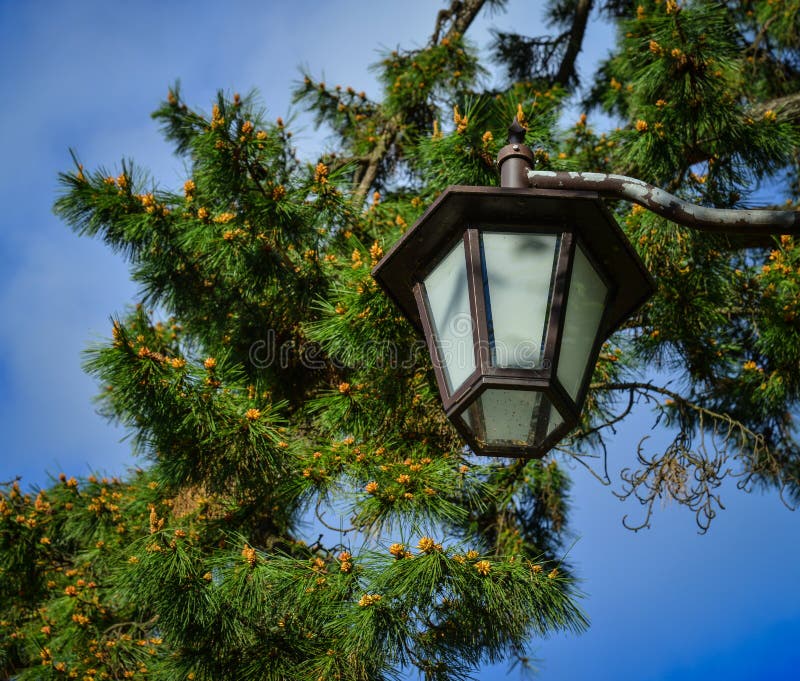 259 Japanese Lamp Post Stock Photos - Free & Royalty-Free Stock Photos ...