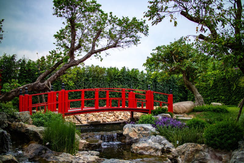 The Japanese Style of Red Wooden Bridge in the Garden Stock Photo ...