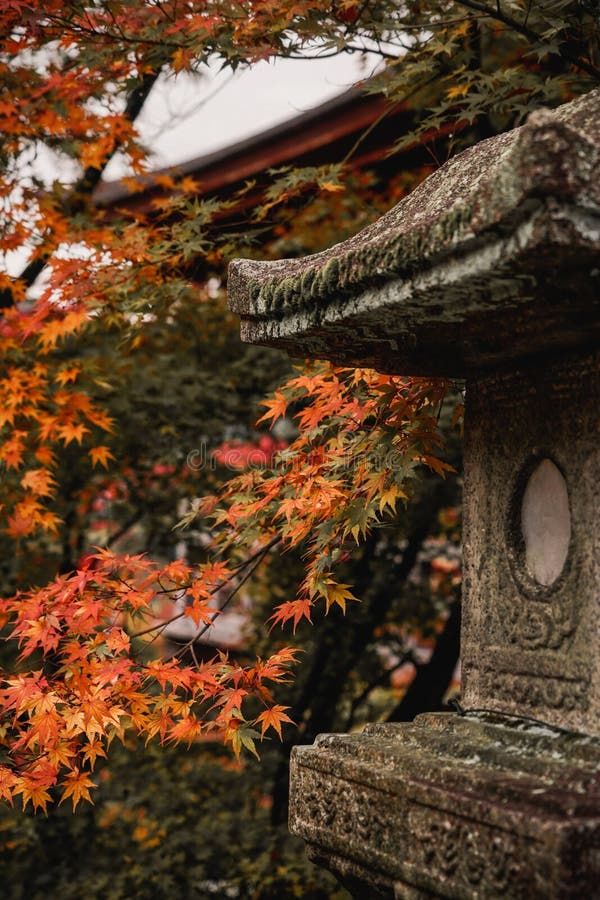 Japanese Style Stone Lantern Surrounded by Red Leaves of a Tree in ...