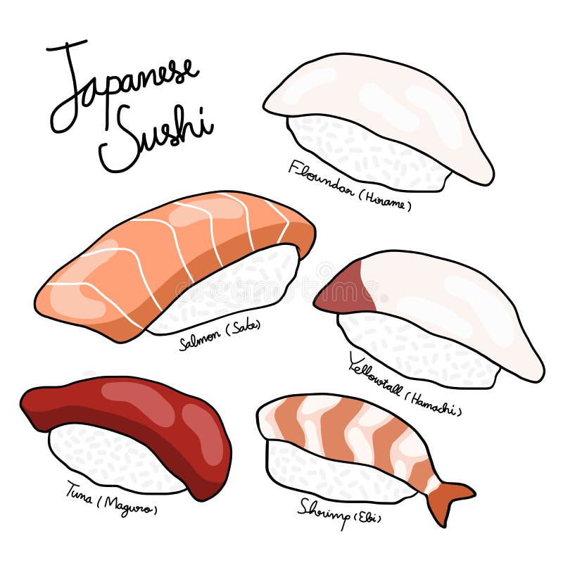 Japanese Sushi Drawing Illustration Stock Vector - Illustration of ...