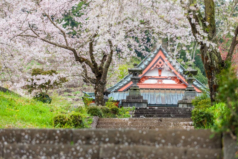 Temple and Beautiful Sakura Stock Photo - Image of cherry, japan: 98123308