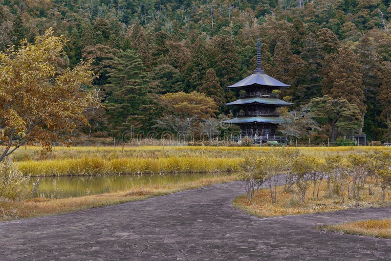A Japanese Temple in the Fall Stock Photo - Image of taking, outdoors ...