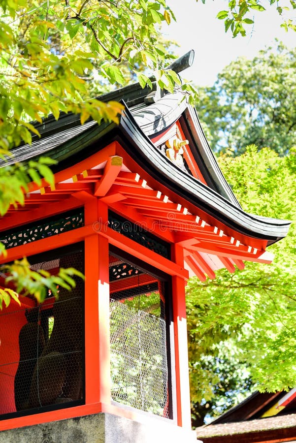 Japanese Temple among the Green Maple Trees Editorial Photo - Image of ...
