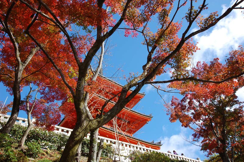 Japanese Temple and Maple Tree in Autumn Stock Image - Image of tree ...