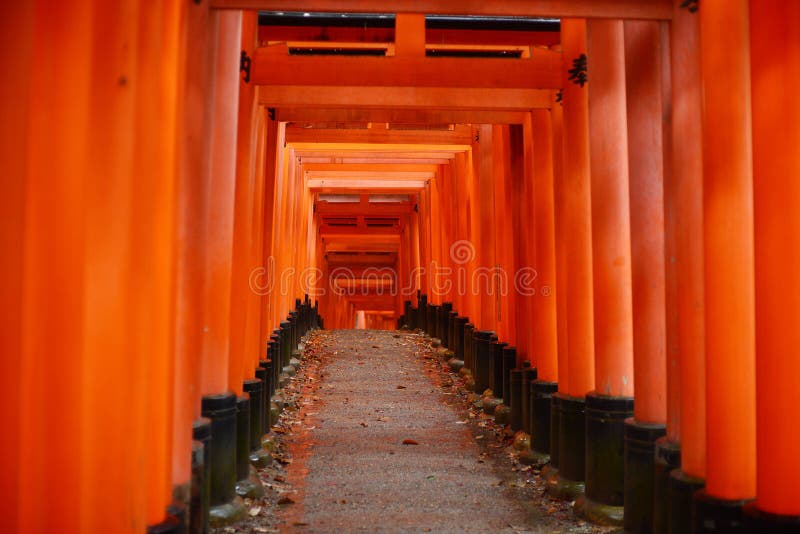 Japanese path stock photo. Image of cave, japanese, path - 47624068