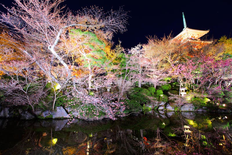 Japanese Temple with Sakura Stock Image - Image of kyoto, reflection ...