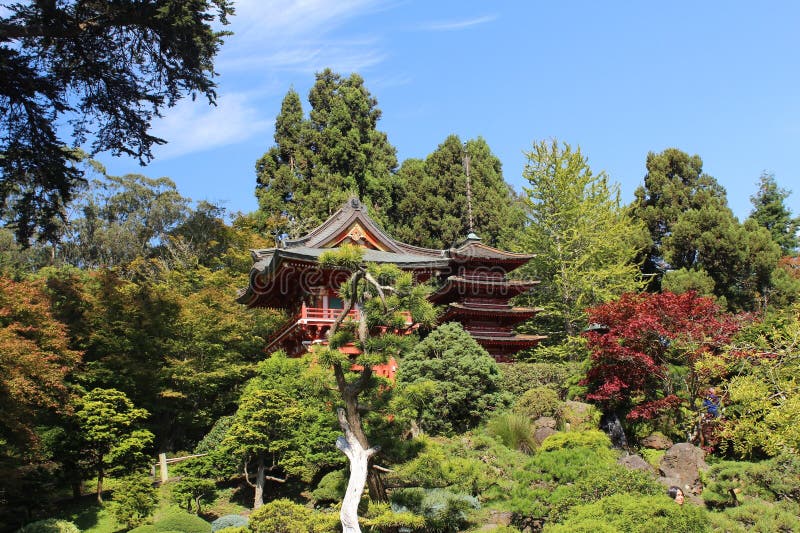Japanese Temples in the Forest Stock Photo - Image of green, trees ...