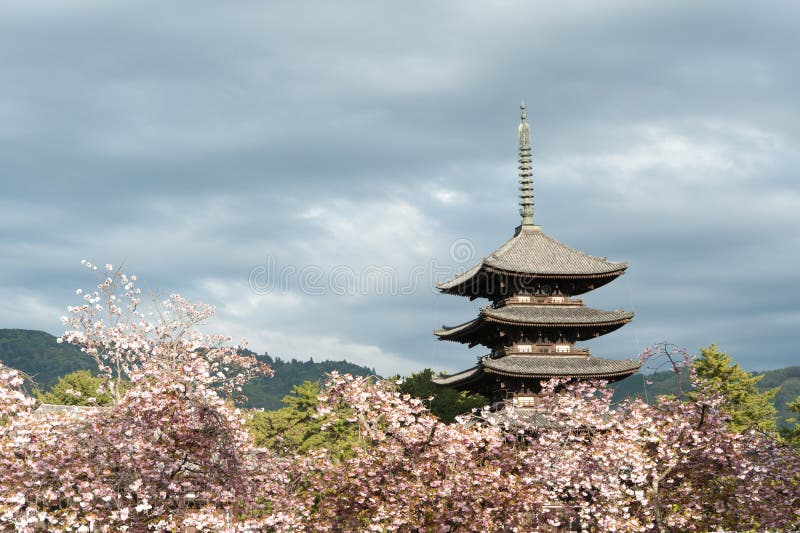 Japanese Temples Stock Photos - Download 3,933 Royalty Free Photos