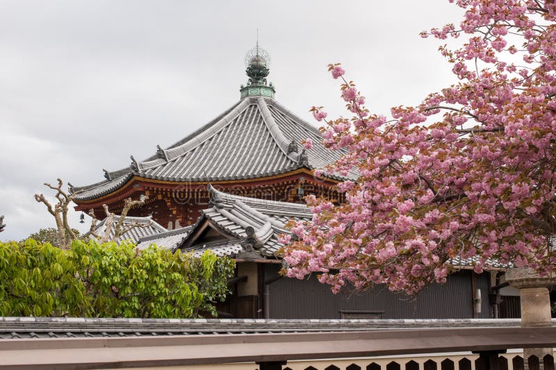 Japanese temples stock photo. Image of spring, pink - 156801564