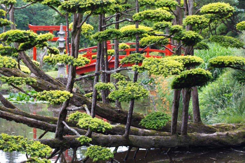 Japanese Zen Garden and Red Bridge Stock Image - Image of landscape ...