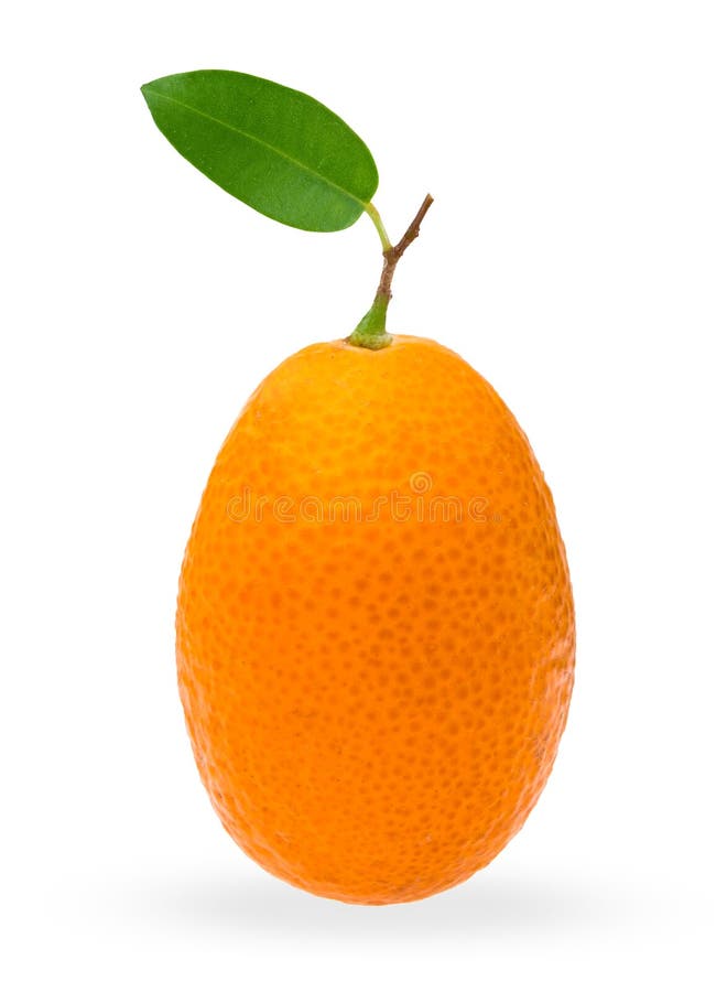Japanische Orange stockbild. Bild von frucht, orangen - 37683855