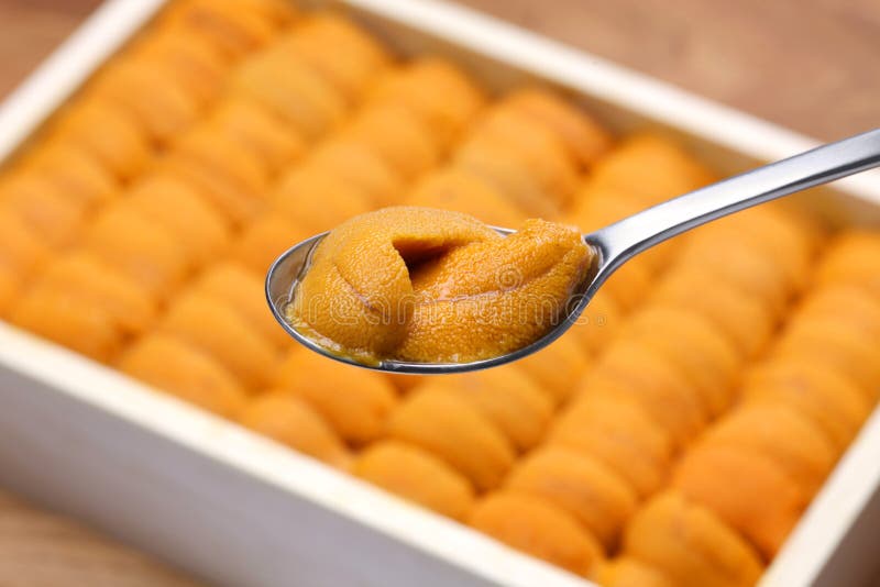 Japanischer Seeigel stockfoto. Bild von frisch, nahrung - 53475358