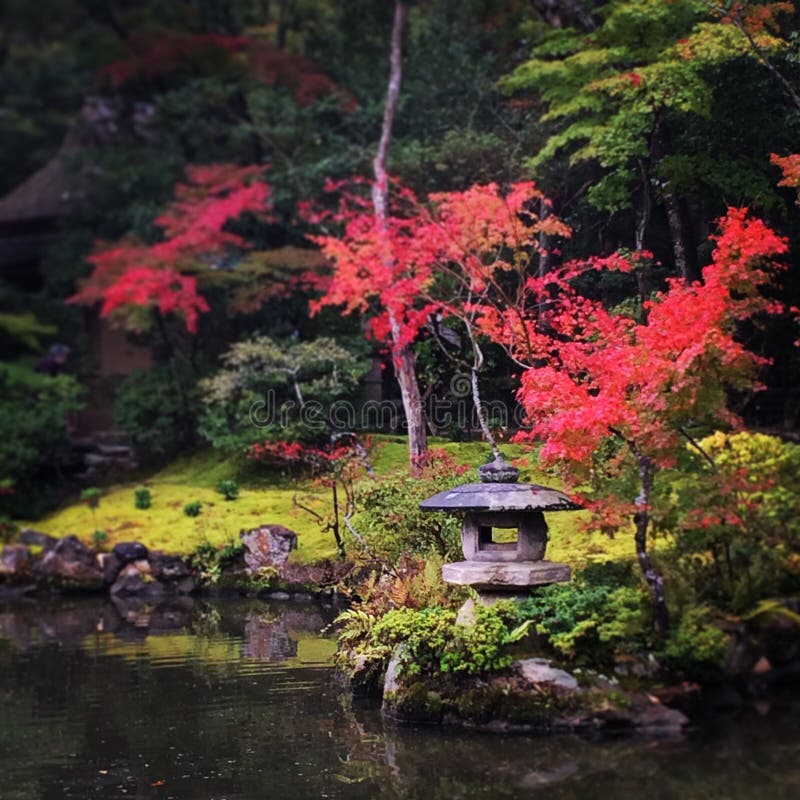 Japanischer Zen-Garten stockfoto. Bild von umgebung, felsen - 46965180