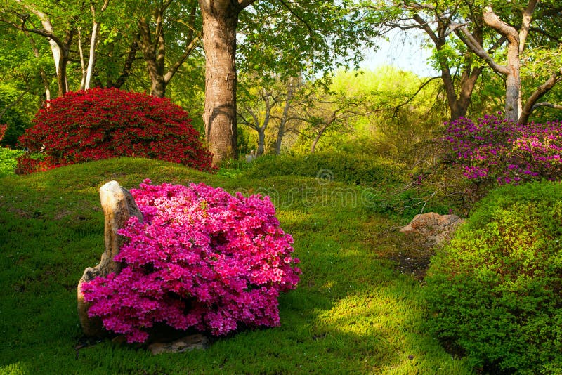 Japanse Rotstuin stock afbeelding. Image of stenen, landschap - 40719981