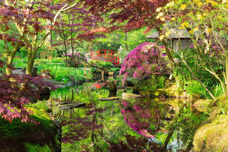 Japanse tuin in Den Haag stock foto. Image of nave, blad - 116555460