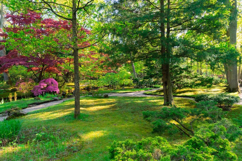 Japanse tuin in Den Haag stock afbeelding. Image of voetpad - 125648317