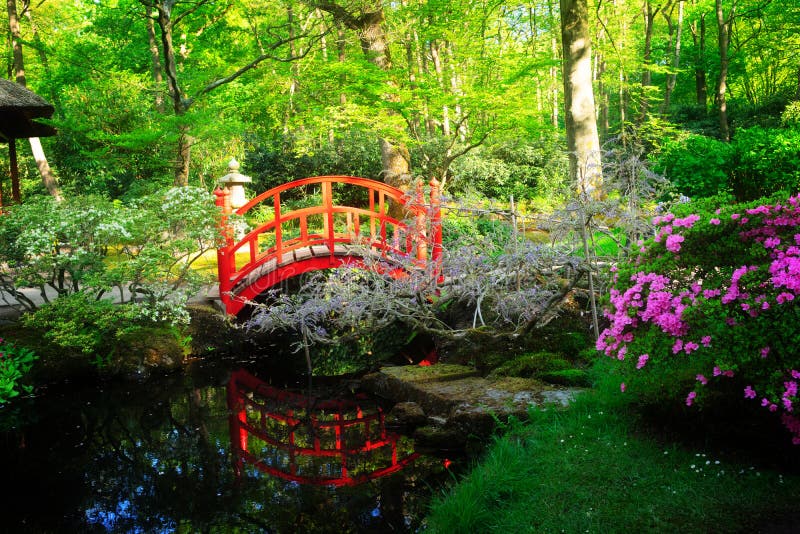 Japanse tuin in Den Haag stock foto. Image of architectuur - 136199992