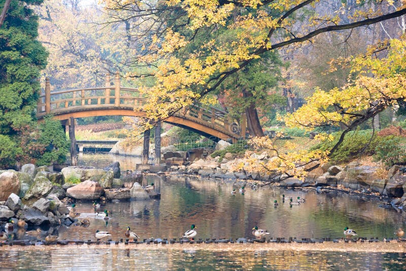 Japansk park arkivfoto. Bild av kant, fall, buske - 3242960