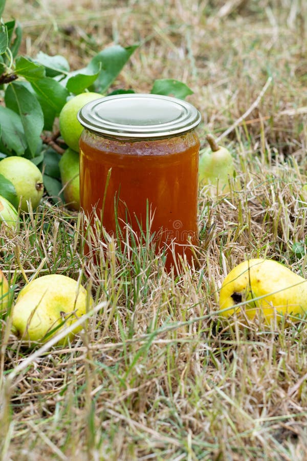 Jar of Pear and Peach Fruit Jam on the Grass in the Garden Stock Image ...