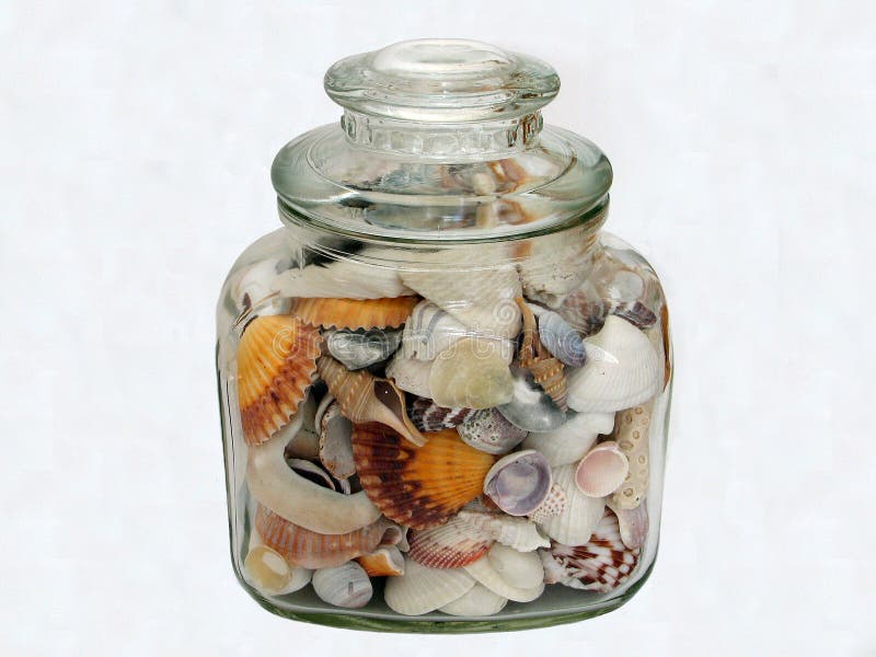 Jar of Seashells stock photo. Image of collection, seaside - 612832
