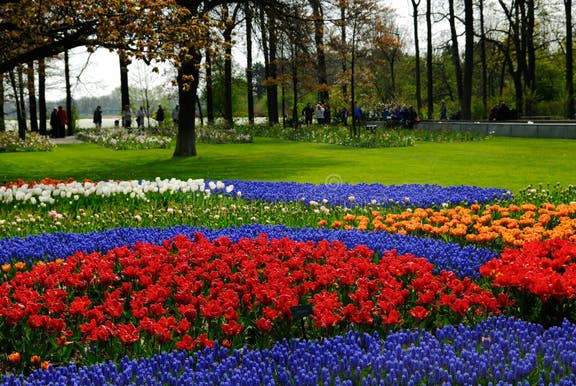 Jardín de flor imagen de archivo. Imagen de arreglo, verde - 5090249