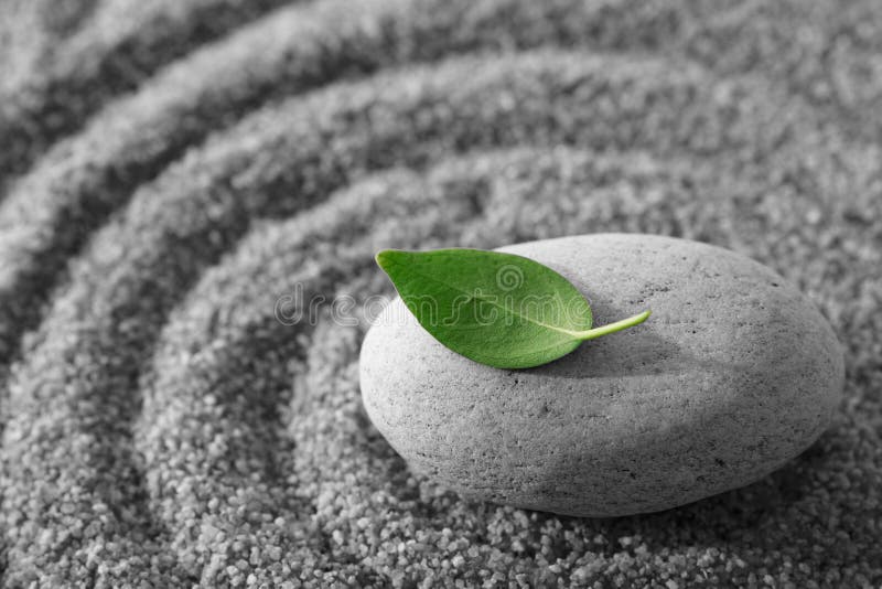 El Jardín Del Zen Con Una Onda Alinea En La Arena Con Una Piedra Blanca ...