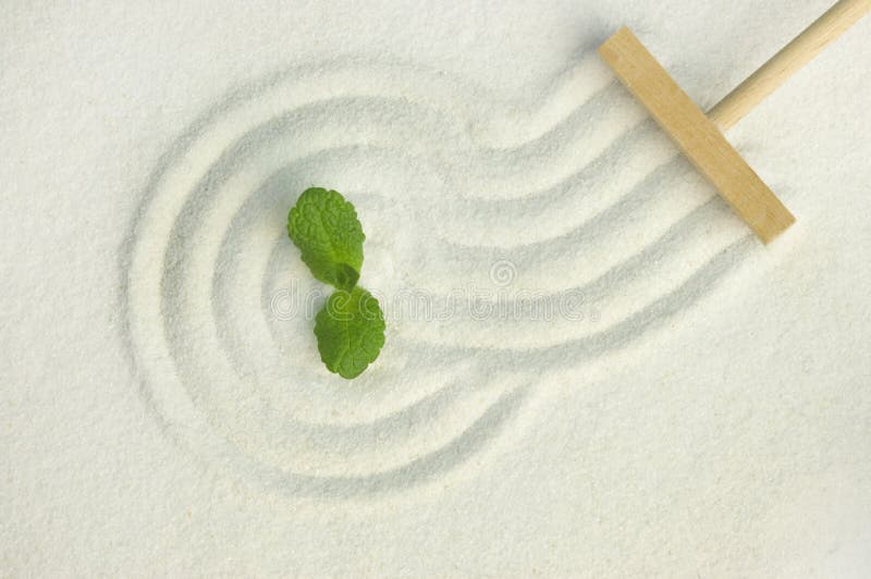 Jardín Del Zen Con La Hoja Verde Foto de archivo - Imagen de cierre ...