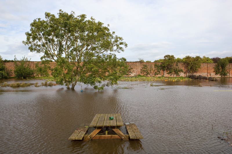Jardín Inundado Con Las Calabazas Foto de archivo - Imagen de banco ...