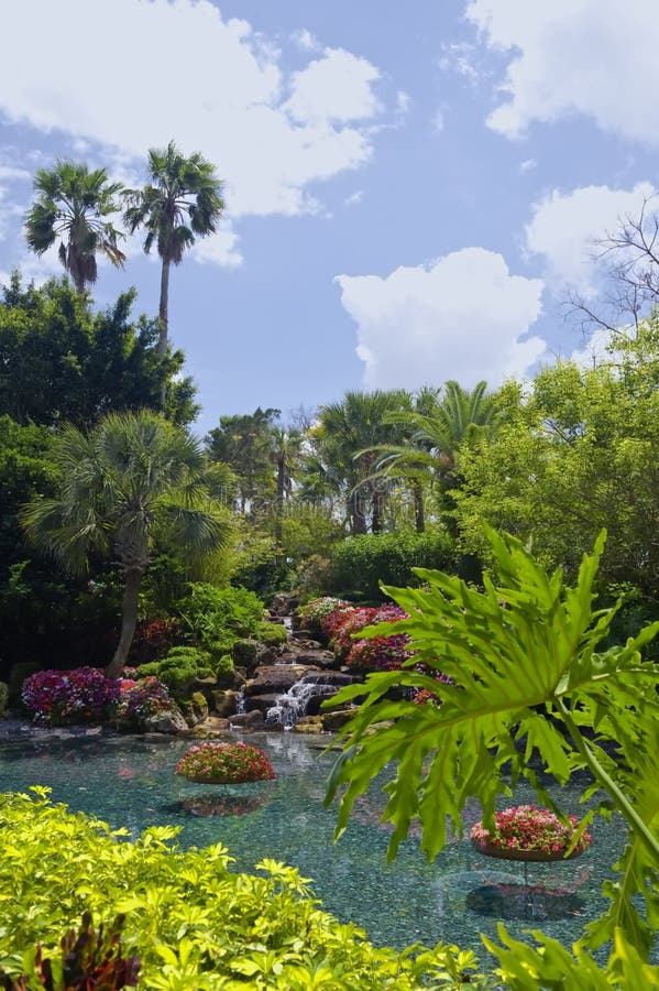 Jardín tropical foto de archivo. Imagen de sereno, flora - 5019562