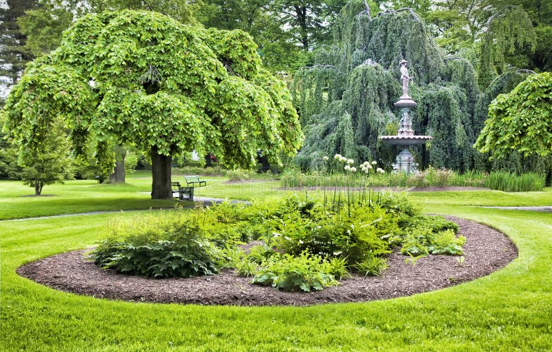 Jardín verde foto de archivo. Imagen de exterior, perenne - 23936966