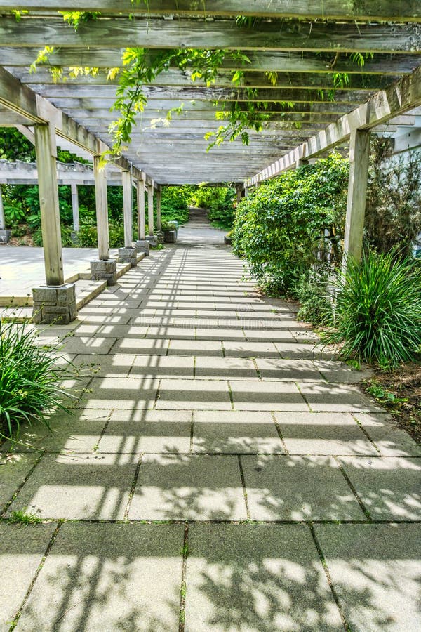 Jardin cour architecture 8 image stock. Image du structure - 224114507