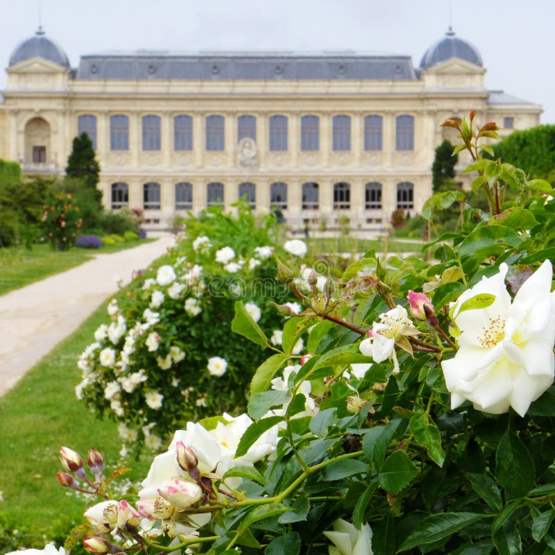 Plantas Del DES De Jardin Del Parque De La Ciudad Con El Museo De La ...